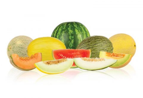 Delivering Melon Perfection All Year Round | Valley Packing